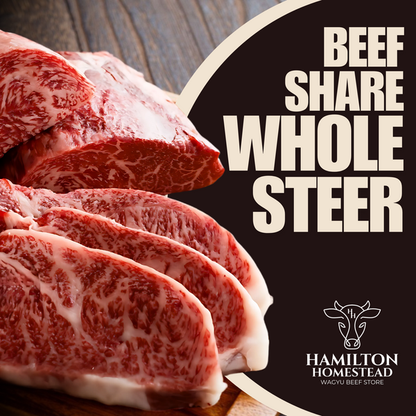 WHOLE STEER BEEF SHARE - DEPOSIT – Hamilton Homestead